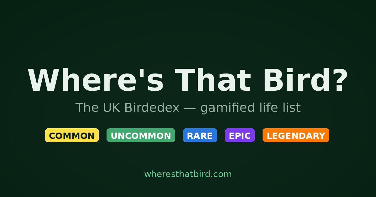 Birding in May — UK guide for spring migration peak | Where's That Bird?